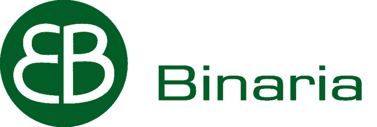 Aplicación De Dado – Editorial Binaria